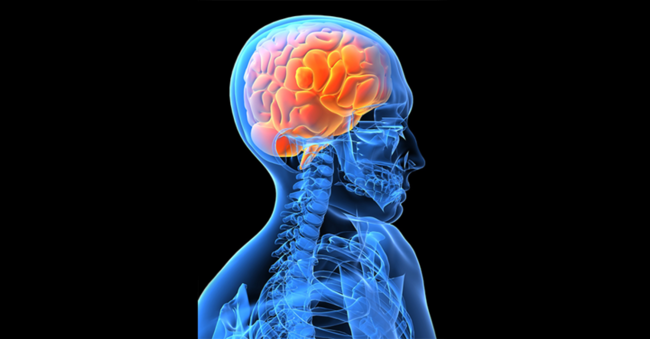 Did You Know… About Primary Generalized Tonic-Clonic (PGTC) Seizures ...